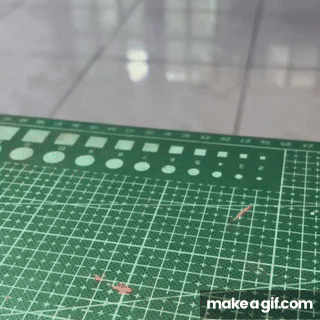 Laba2 solo on Make a GIF