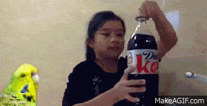 Parakeet Explosion on Make a GIF