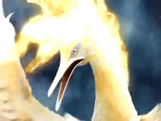 Phoenix on Make a GIF