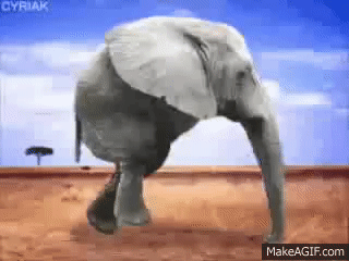 Evolution running elephant on Make a GIF