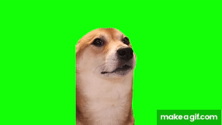 Green Screen Dancing Dog Meme on Make a GIF