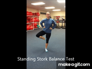 Standing Stork Balance Test on Make a GIF