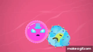 Immune System, Part 3: Crash Course Anatomy & Physiology #47 on Make a GIF