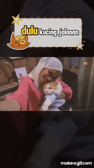 Comel je oked ni