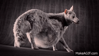 Belly Sway - another short looped animation by Zefiro Treddi on Make a GIF