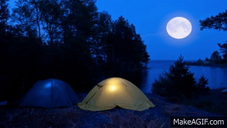 The /x/ Files: Skinwalkers on Make a GIF