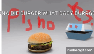 ![BABY BURGER TRY TO NOT GET INTO BOX AND MOUSE MAKE BOX AWAY BRO WHY I ...