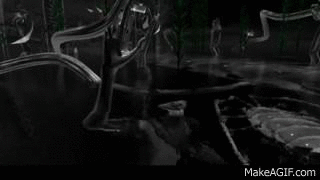 Bacterial Contamination on Make a GIF