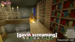 [gavin screaming] on Make a GIF