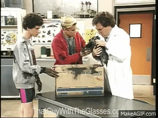 Nostalgia Critic "OIL+DUCK=R.I.P" on Make a GIF