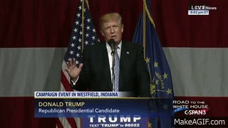 Donald Trump Says Billions And Billions And Billions on Make a GIF