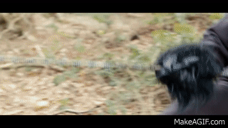 Invocation Banana on Make a GIF