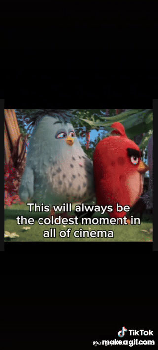 angry birds cold on Make a GIF