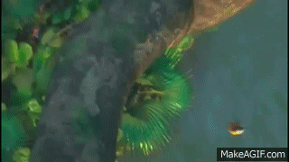 Happy Birthday Rio Style YouTube on Make a GIF