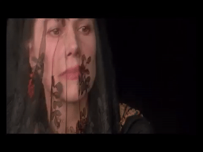 Barbara Hershey Performances - Madame Serena Merle (The Portrait of a ...