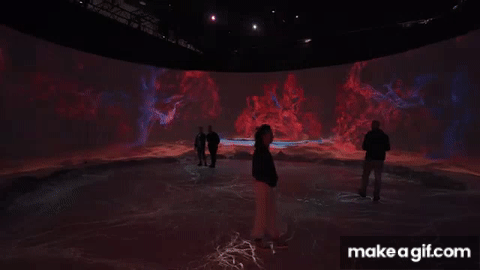 Circle of Life / Breathtaking Immersive Experience of Nature and Light ...