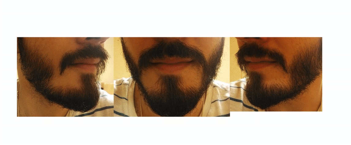 stache evo3 on Make a GIF