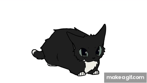 maxwell cat by snownic on Make a GIF