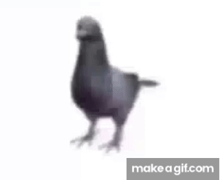 Horizontally Spinning Pigeon on Make a GIF