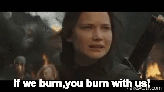 You Just Got Burned Gifs On Giphy Elmo Burn Memes Imgflip