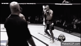 Edson Barboza Greatest ufc Spinning heel kick KO on Make a GIF