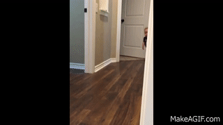 Baby rue away on Make a GIF