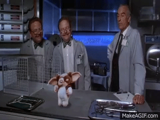 Gizmo's Dance Scene (Gremlins 2) on Make a GIF