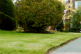 LGBT GIFs on Make a GIF