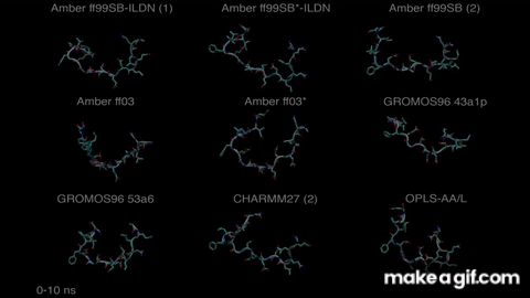 Force field comparison: Amber, GROMOS, CHARMM, OPLS on Make a GIF