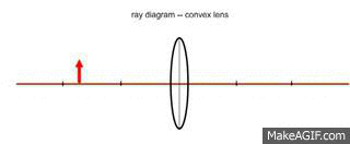 Convex lens(how it works) on Make a GIF