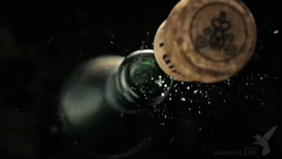 champagne on Make a GIF