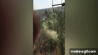 Irritating! Huge pollen wave stirred up by helicopter in Georgia on ...