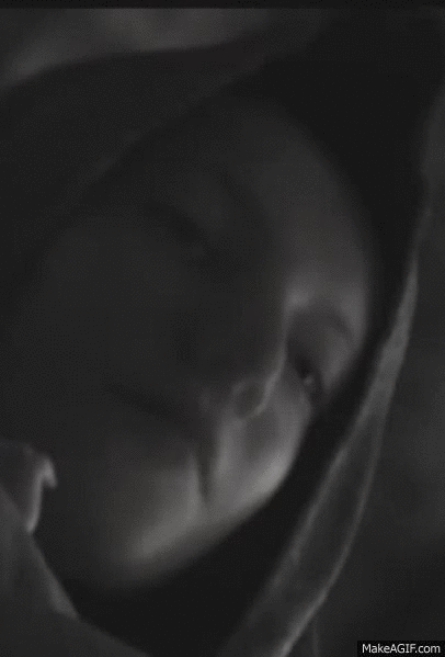 Scene from dark souls 2 intro video on Make a GIF