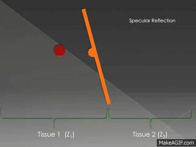 Ultrasound Physics 2 - Interactions with Tissue on Make a GIF