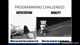 Programming Expectation vs Reality on Make a GIF