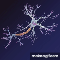 Neurona on Make a GIF