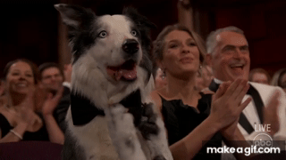 Messi Clapping Dog on Make a GIF