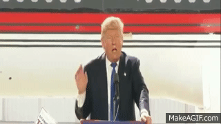 Trump Almost Attacked, Secret Service Act Swiftly to Protect Donald ...