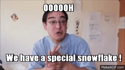 Special Snowflake Memes Special Snowflake Silly Funny Winter Christmas