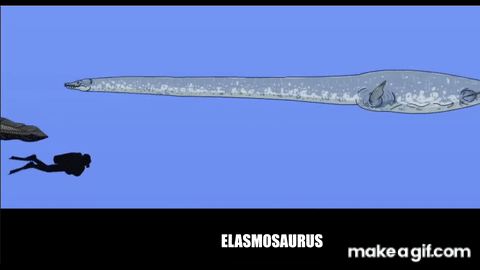 Prehistoric Life - Animated Size Comparison (Elasmosaurus and ...
