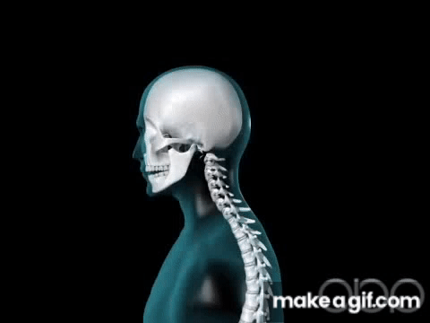 Neck Movement - 3D Medical Animation || ABP © on Make a GIF