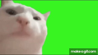 Vibing Cat Green Screen ( Dancing cat meme 2020 ) on Make a GIF