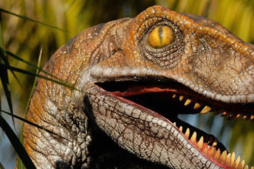 Velociraptor intensifies on Make a GIF