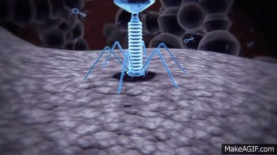 Genome Editing with CRISPR-Cas9 on Make a GIF