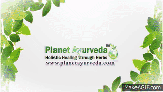 Cure for Slipped Disc Without Surgery? - Ayurvedic Herbal Treatment ...