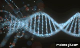 dna on Make a GIF