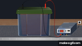 Western Blot Method - Animated Video on Make a GIF
