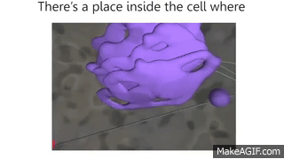 Cells Cells - Parts of the Cell Rap on Make a GIF