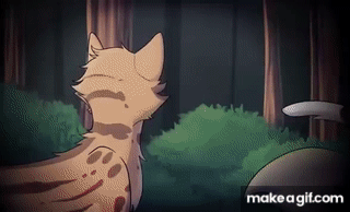 Warrior Cats Mapleshade Animator Tribute - Look What You Made Me Do ...