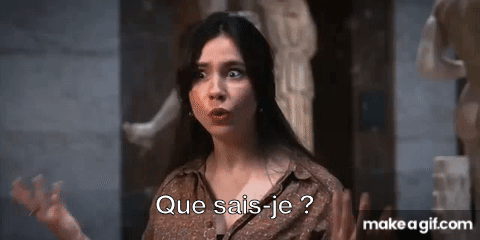 Que sais-je on Make a GIF